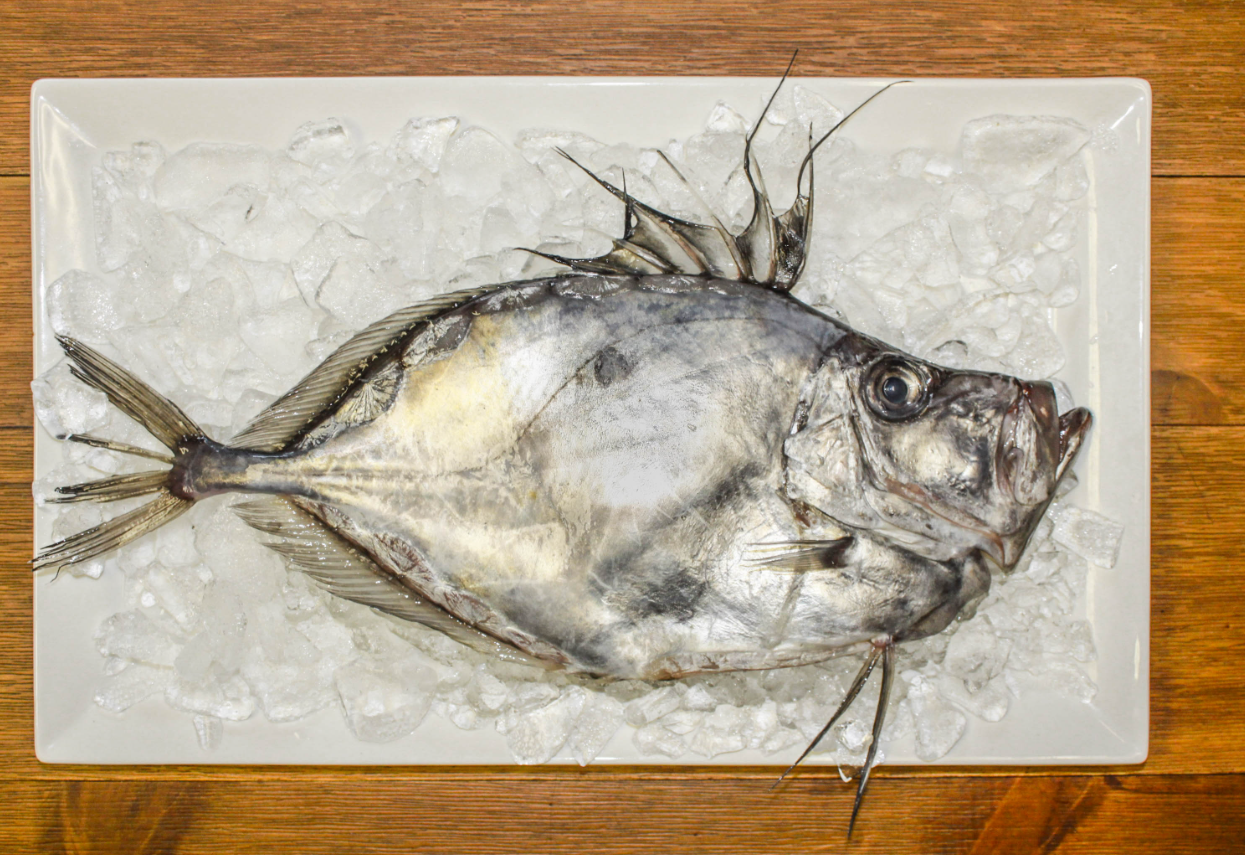 John Dory Exploring the Mystique Delight of This Unique Fish
